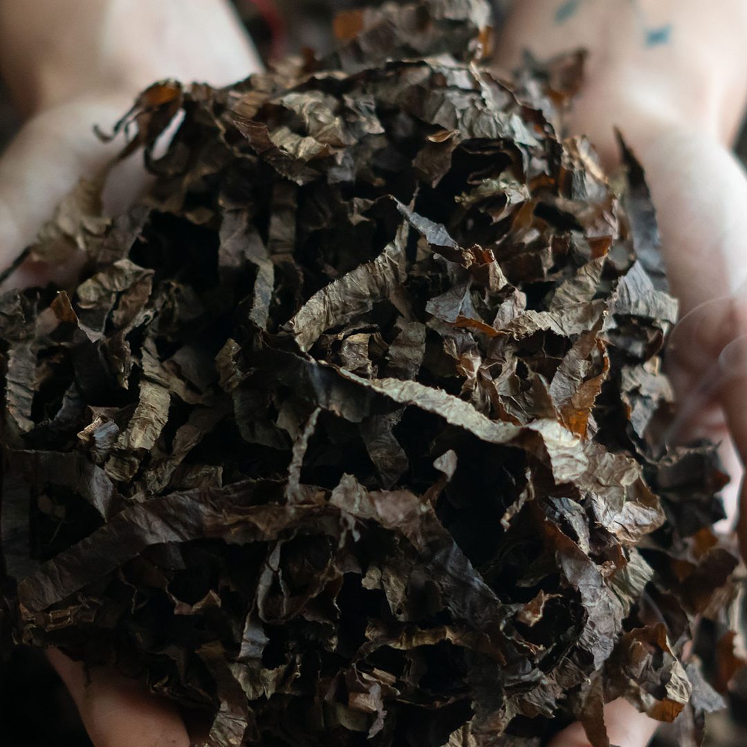 tabacco speaks – the goddess portal